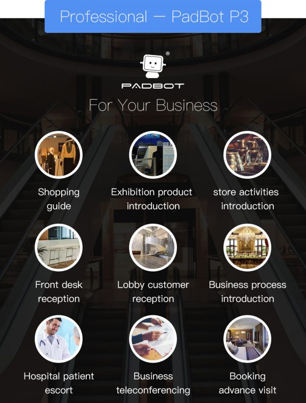 PadBot P3 - RobotikLAB